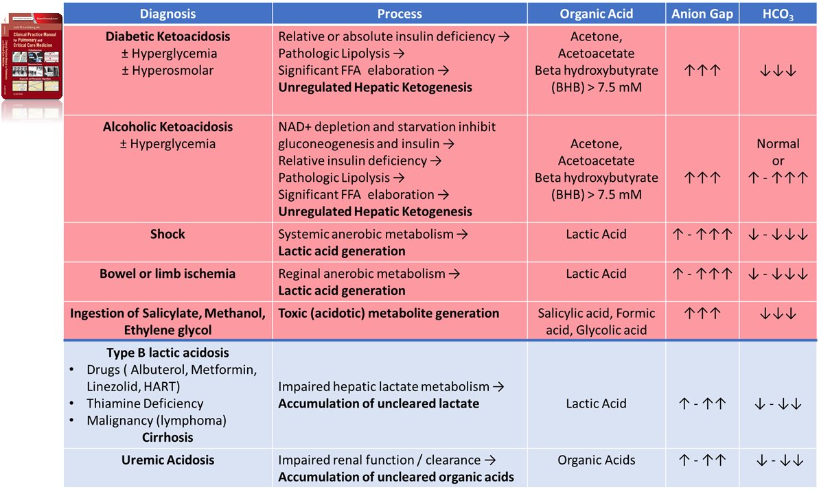 Mudpiles Anion Gap Metabolic Acidosis