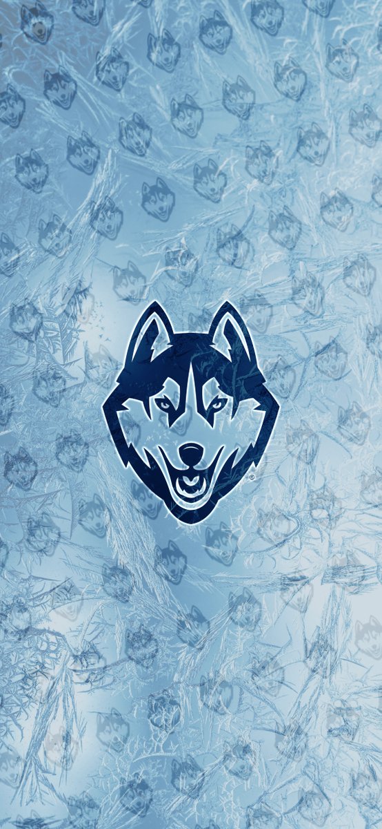 Uconn Basketball Wallpapers Wallpapers Uconn Huskies