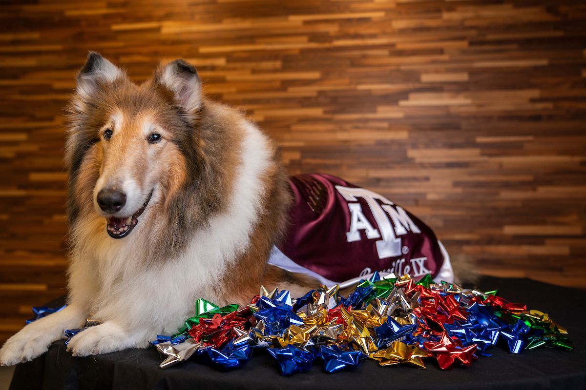 Current Reveille