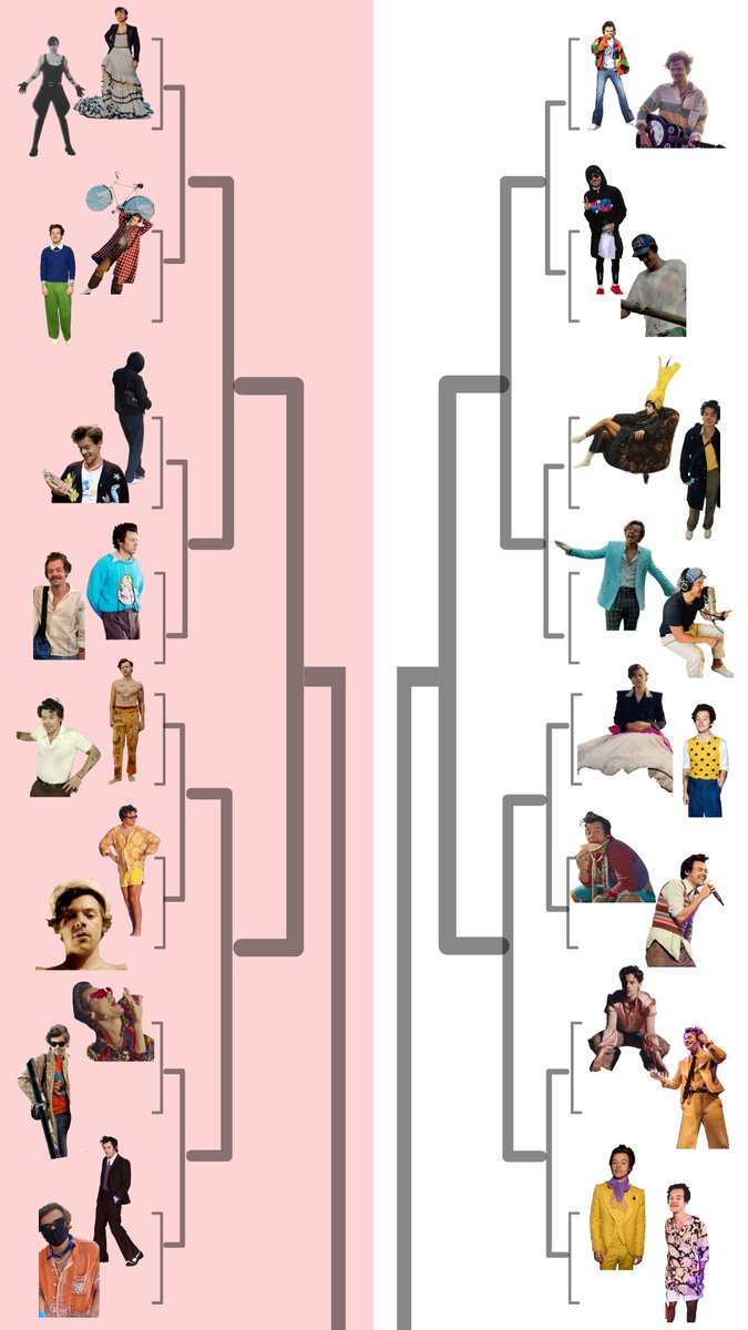 Harry Styles Family Tree