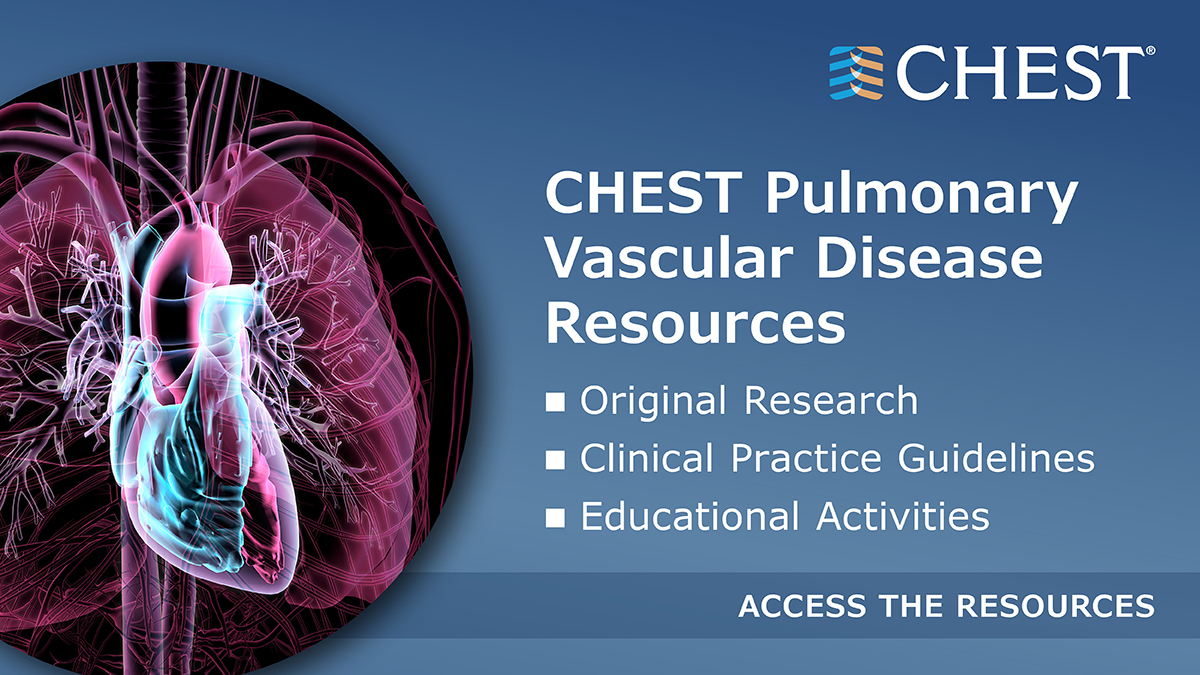 Vascular Chest