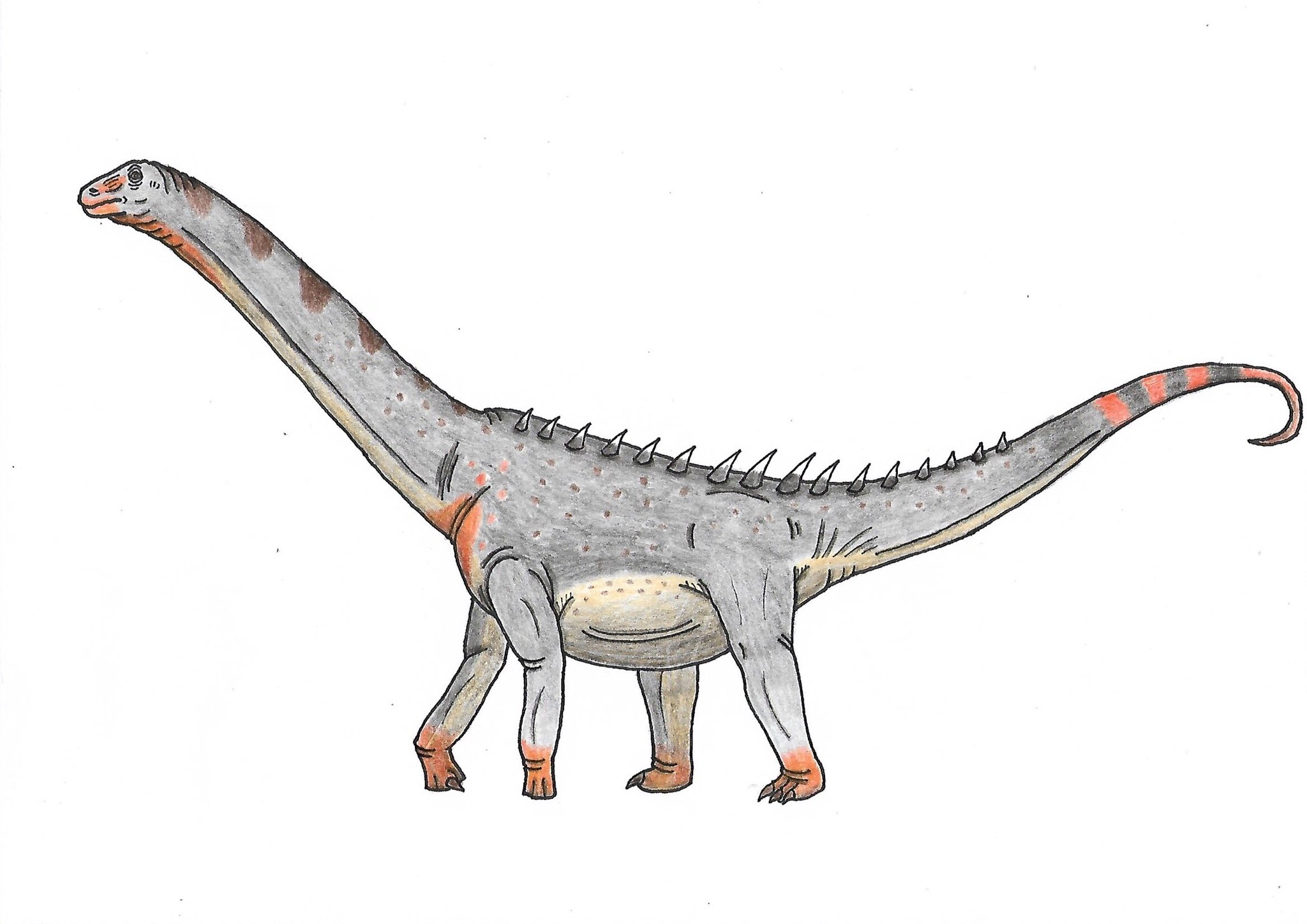Magyarosaurus