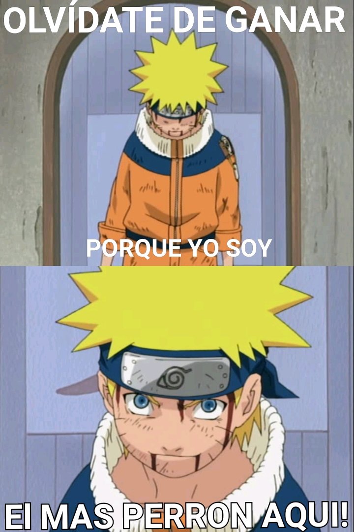 Memes Mas Perrones El Perrito Más Perrón 😁😀