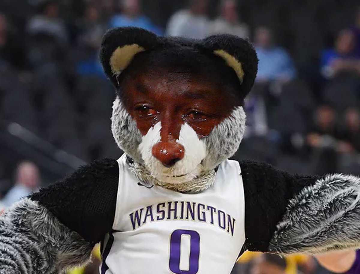 The Duck posted this picture of Harry the Husky after the game tonight ...