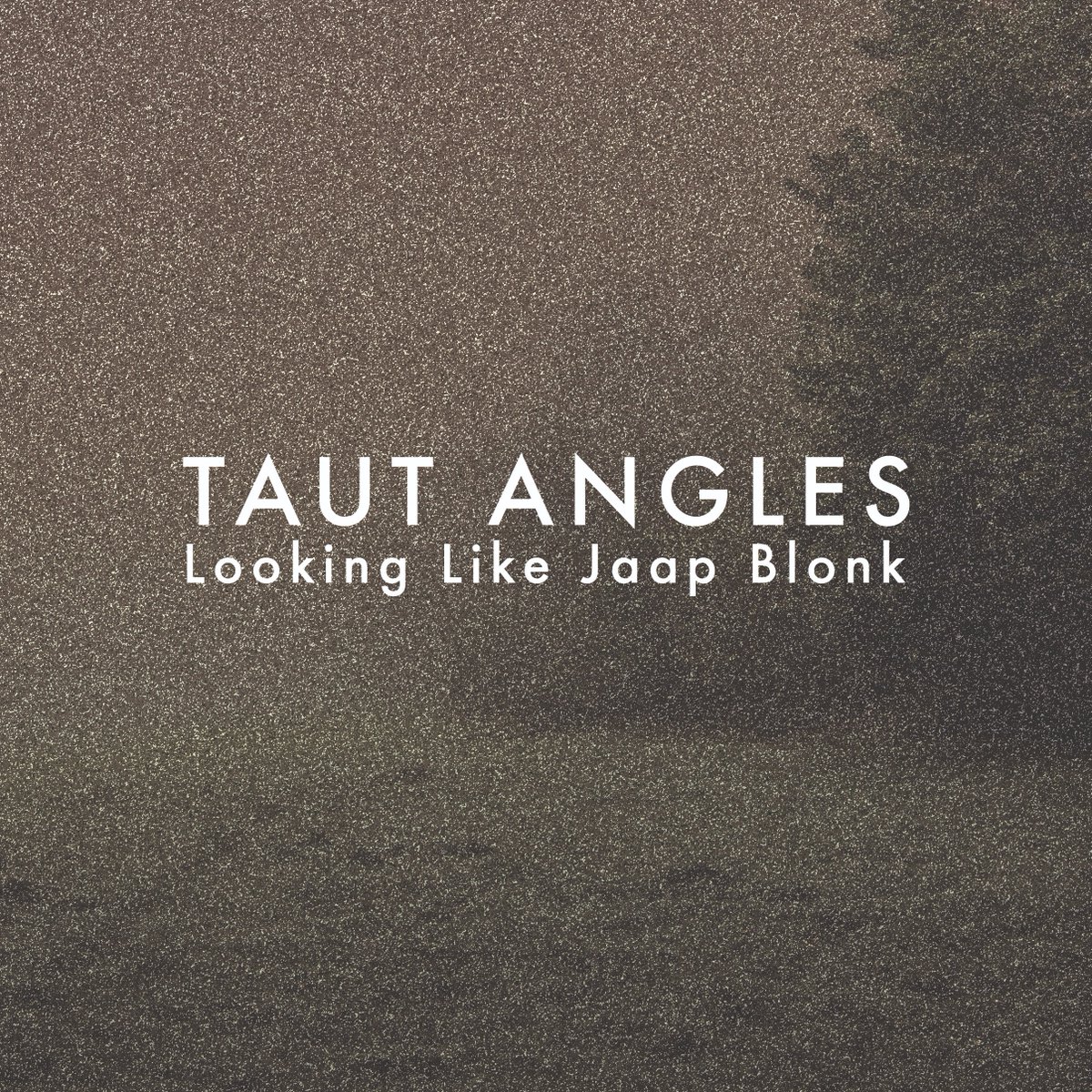 Taut Angles (@Taut_Angles) | Twitter