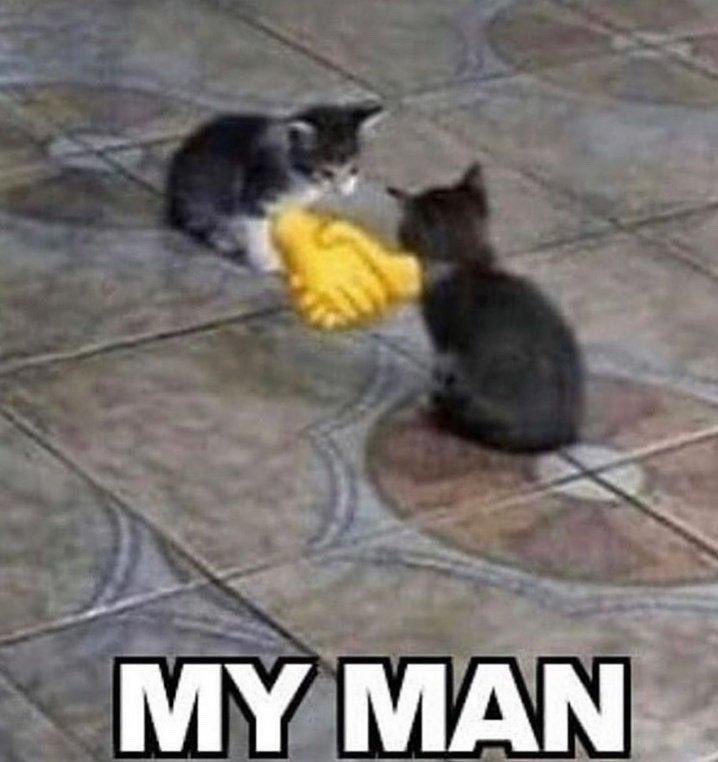 Shake Hands Memes Memebase Handshake All Your Memes In Our Base