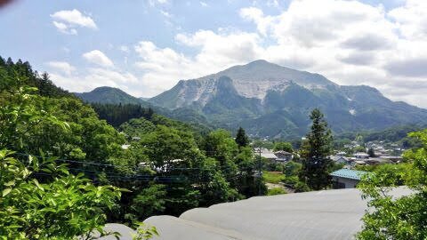 のんぼ(野坊) on Twitter: "@yumerou_cos 秩父の石灰岩にフズリナがいっぱい入ってますね。 https://t.co/IX4T1eQNfm" / Twitter