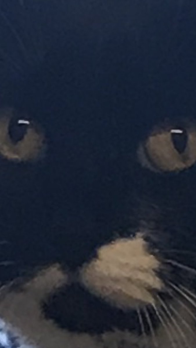 Derek (@derekprieur_) | Twitter