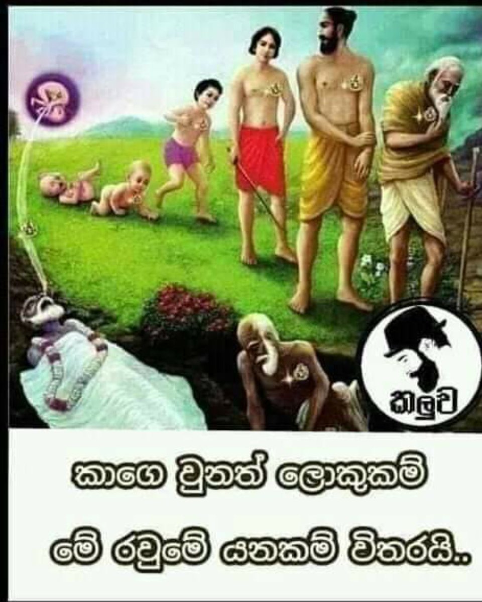 Mali Perera (@MaliRules) | Twitter