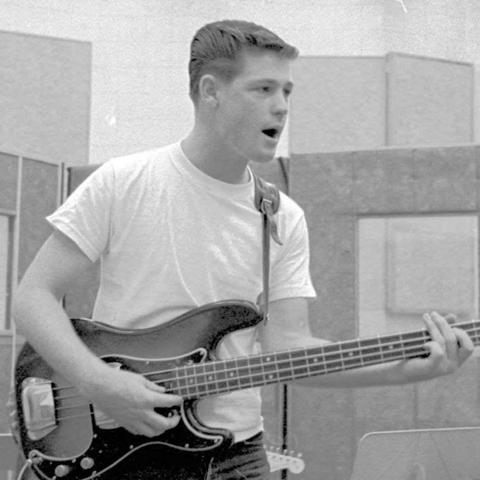 Brian Wilson Beach Boys 1960s