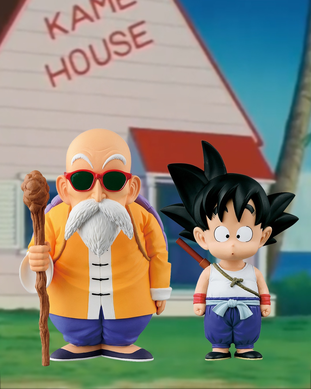 Roshi And Son Goku