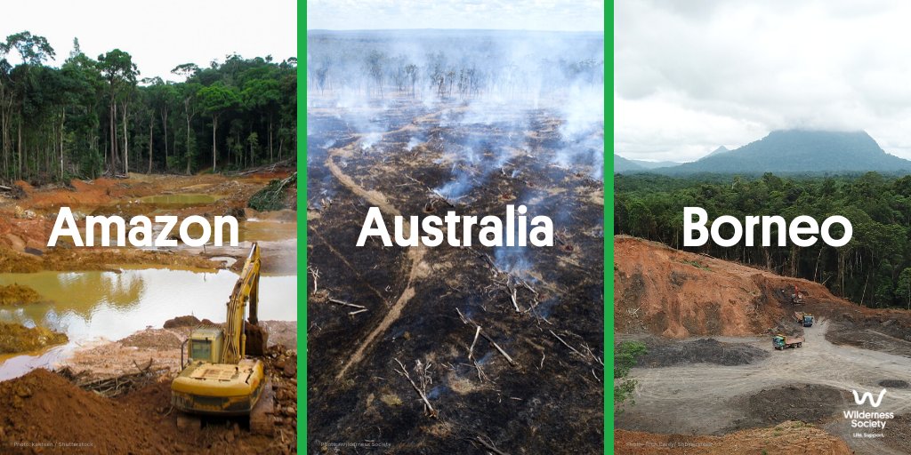 Deforestation Before And After