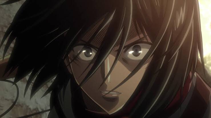 Mikasa Ackerman Face Angry