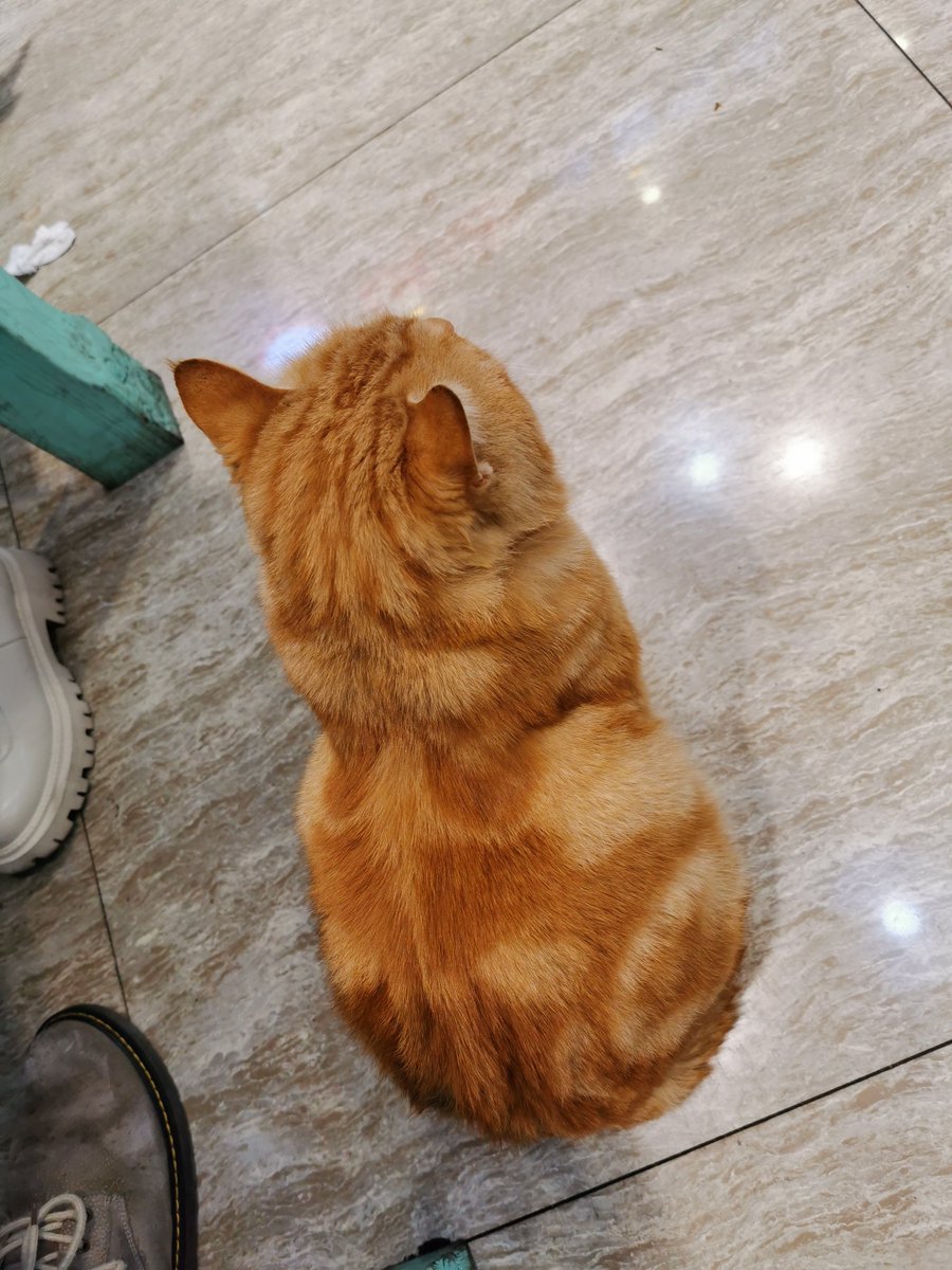 韩浩然 (@Hao__Ran) | Twitter