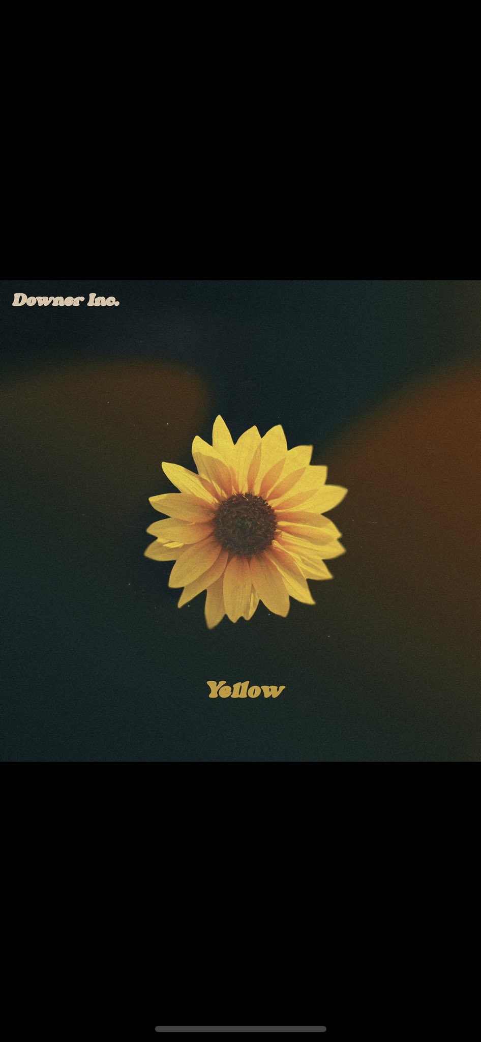 Coldplay Wallpaper Yellow