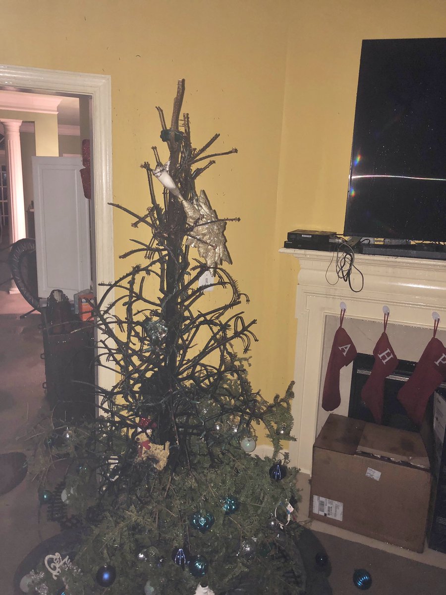 Precise Fire Protection (@PreciseFire) | Twitter