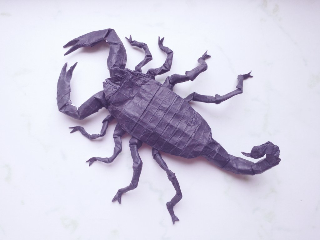 Origami Scorpion Crease Pattern