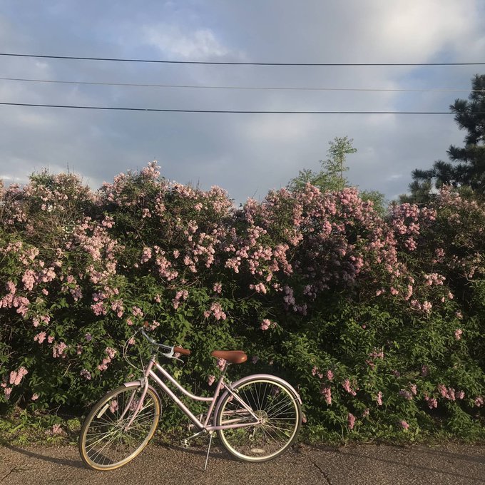 TW Pornstars - 🎂 Sept 25th. Pictures and videos from Twitter. Page 11