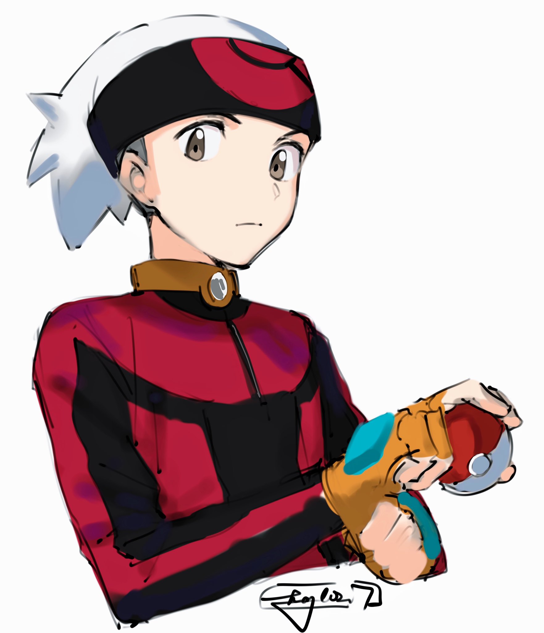Pokemon Ruby Brendan Hair