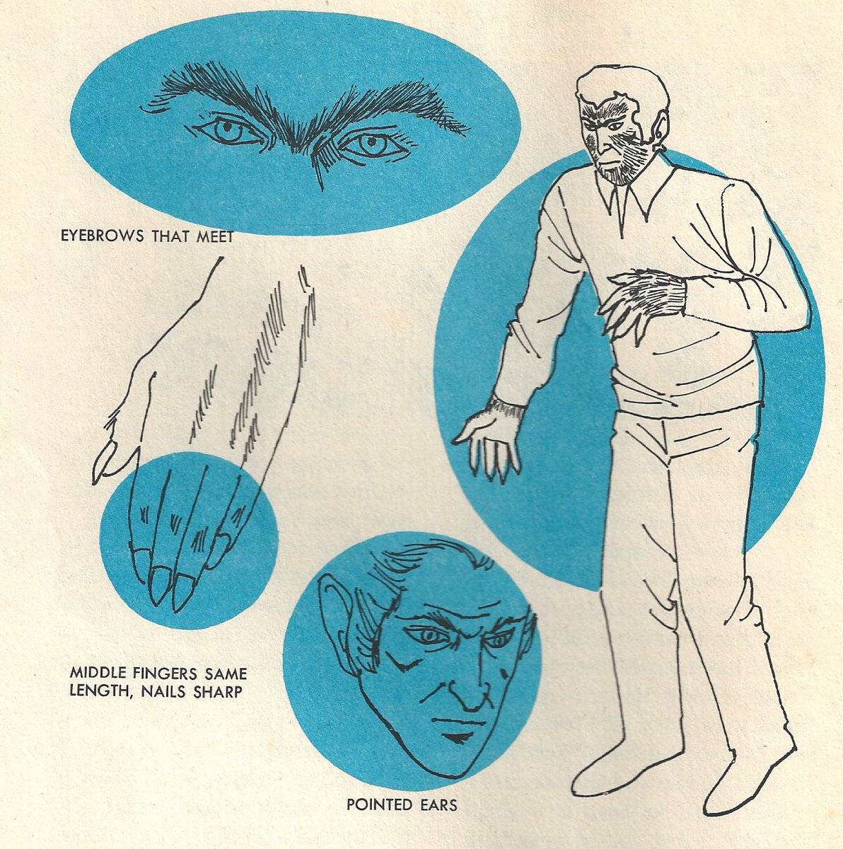 「Illustrations by Carole Jean Bourke from Golden Family Funti」WEIRDLAND ...