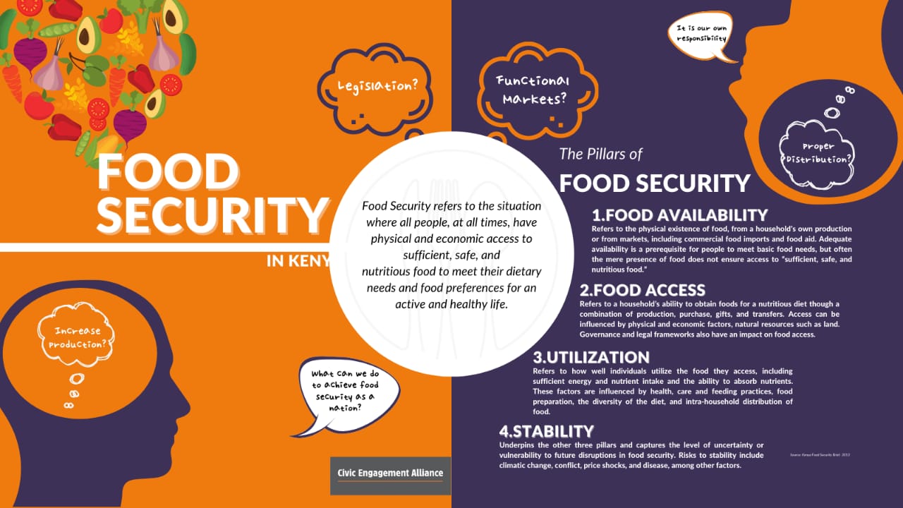 Food Security Human Mobility, 43% OFF | www.micoope.com.gt