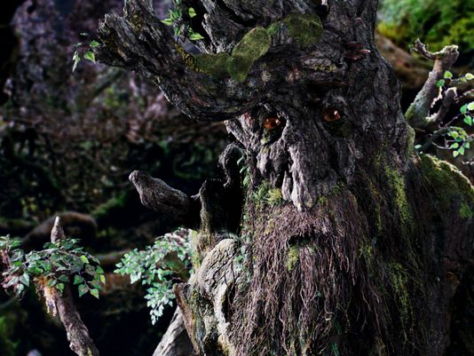 Ents Lord Of The Rings