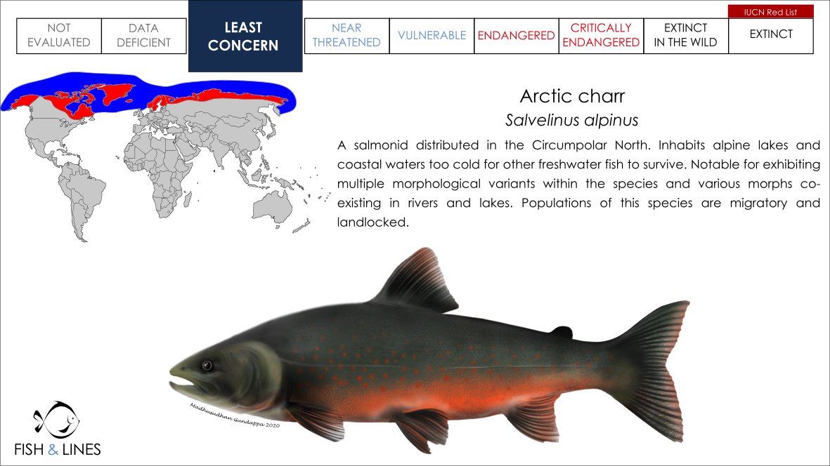 Arctic Fish Species