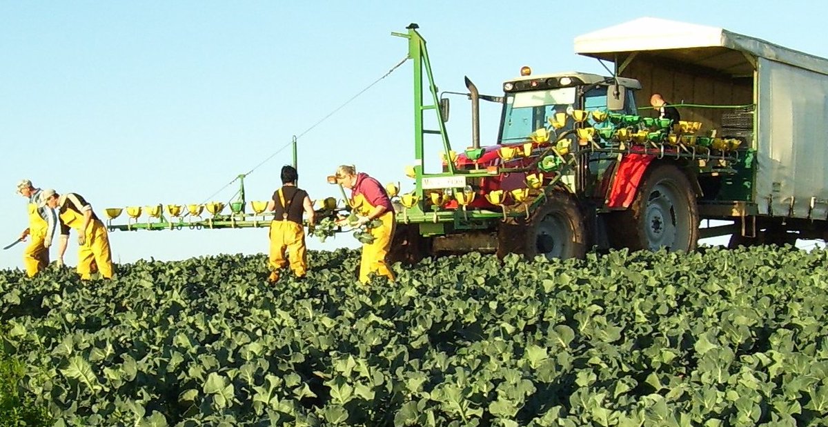 Home - Cornwall Food and Farming Group