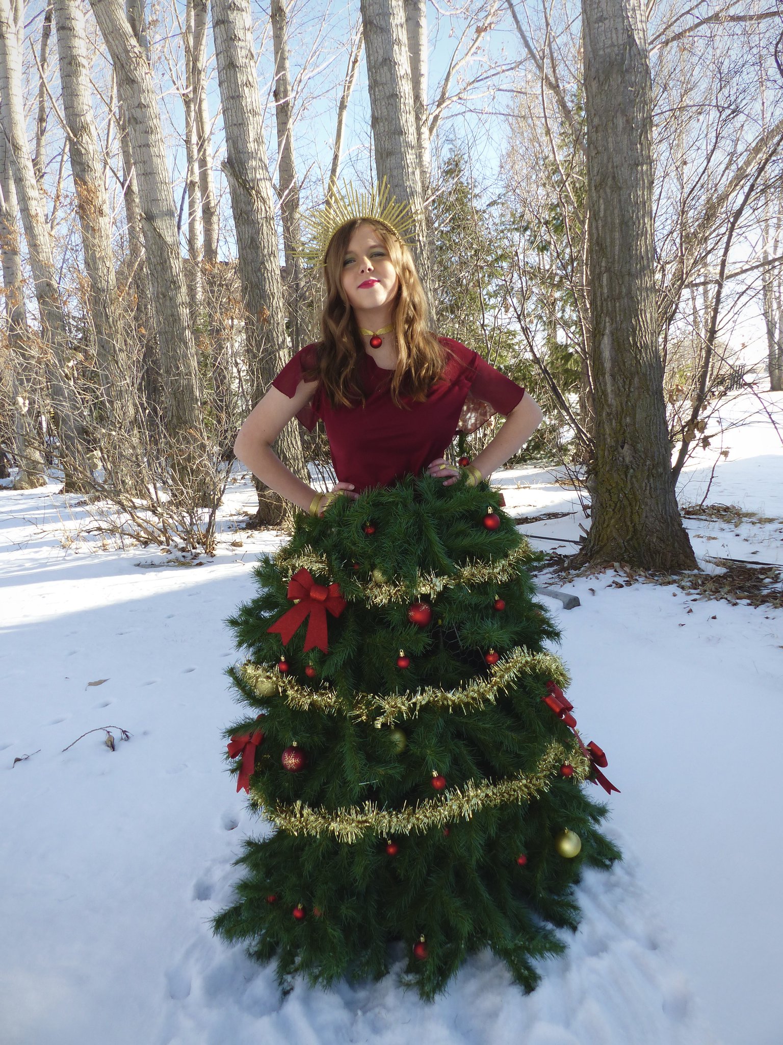 Christmas Tree Costumes