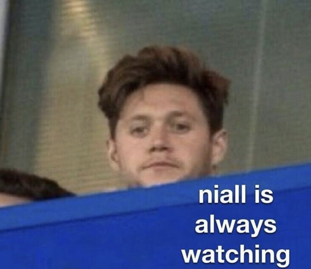 Niall Horan Memes