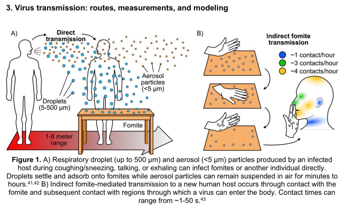 Discover and read the best of Twitter Threads about #fomite