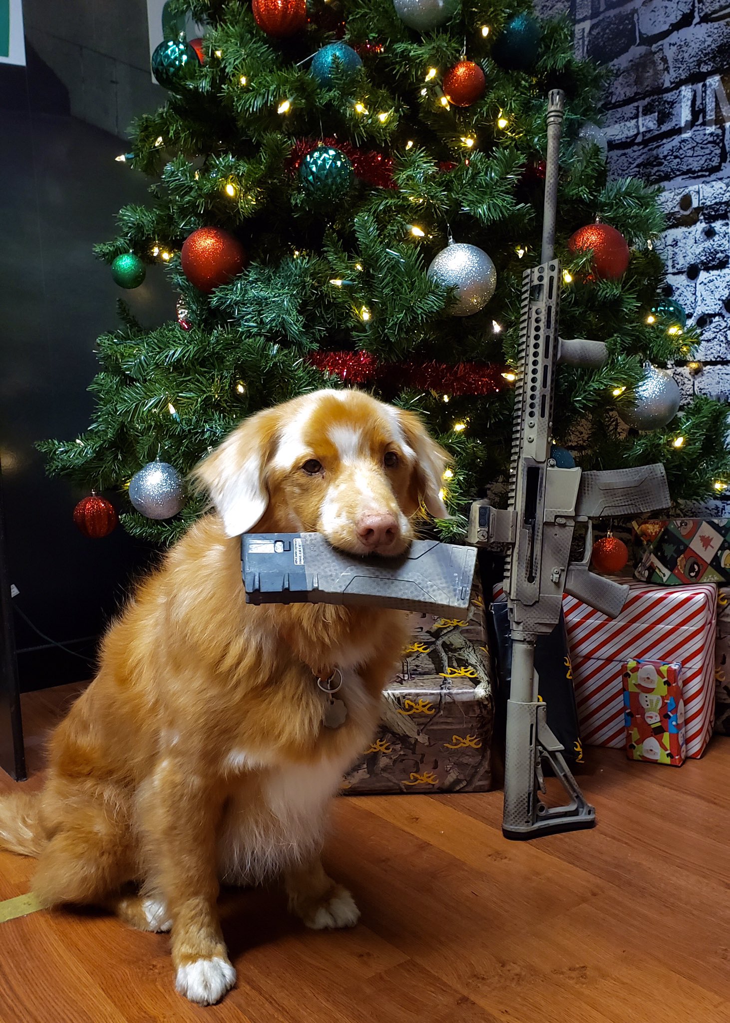 The Gun Christmas Holidaze