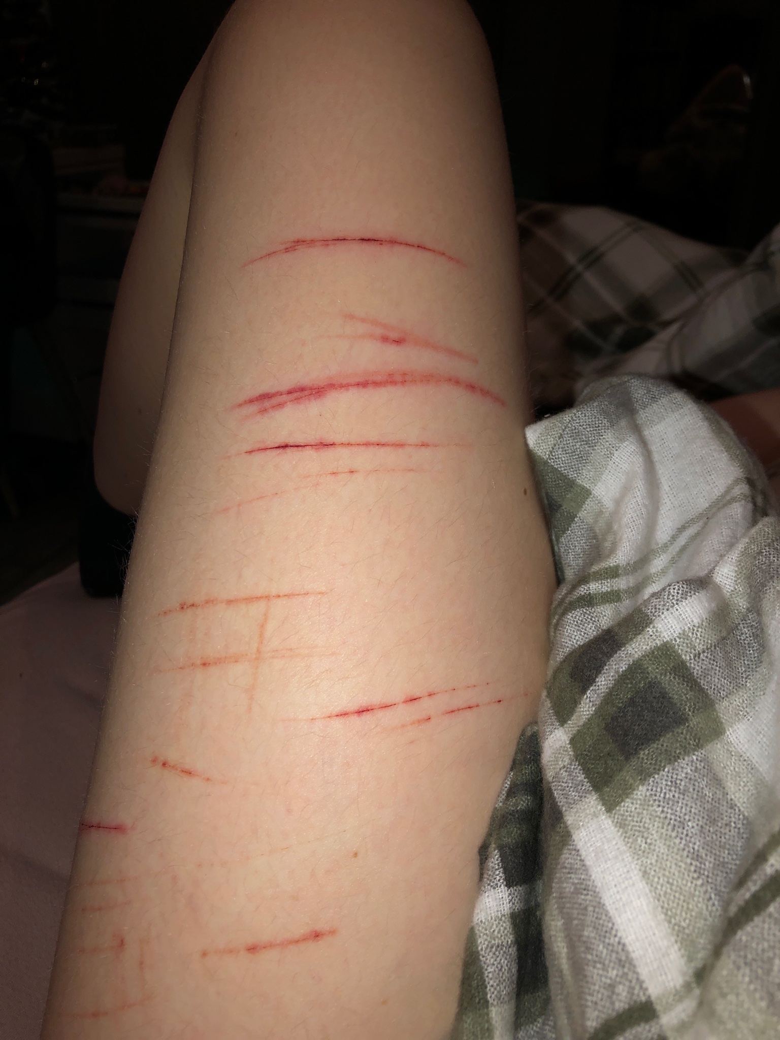 Real Hand Cut With Blade