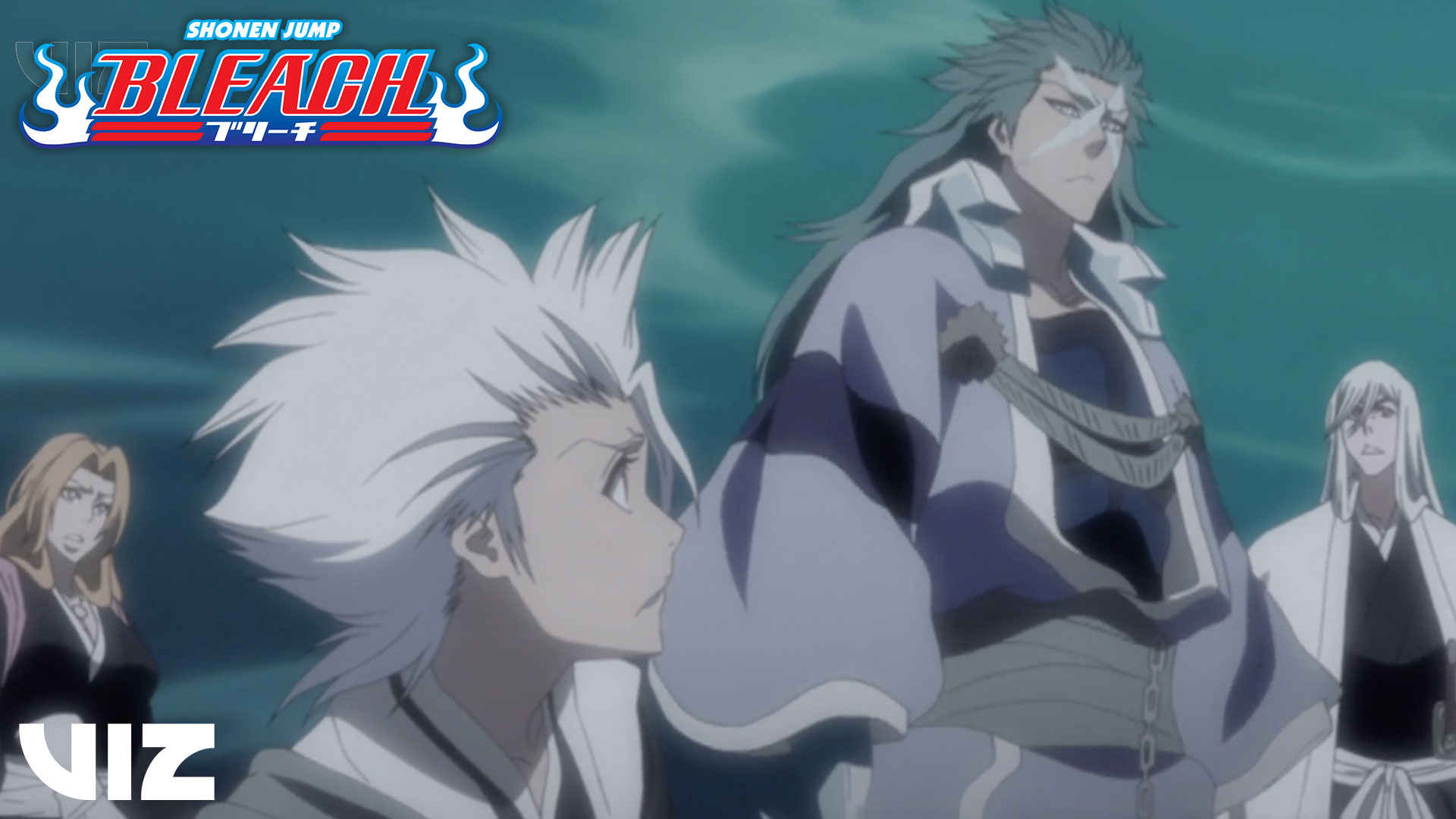 Bleach Zanpakuto Arc