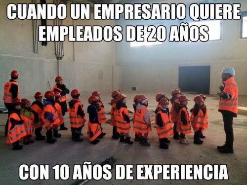 Meme De Trabajo En Equipo Universidad Nacional De San Martín Los