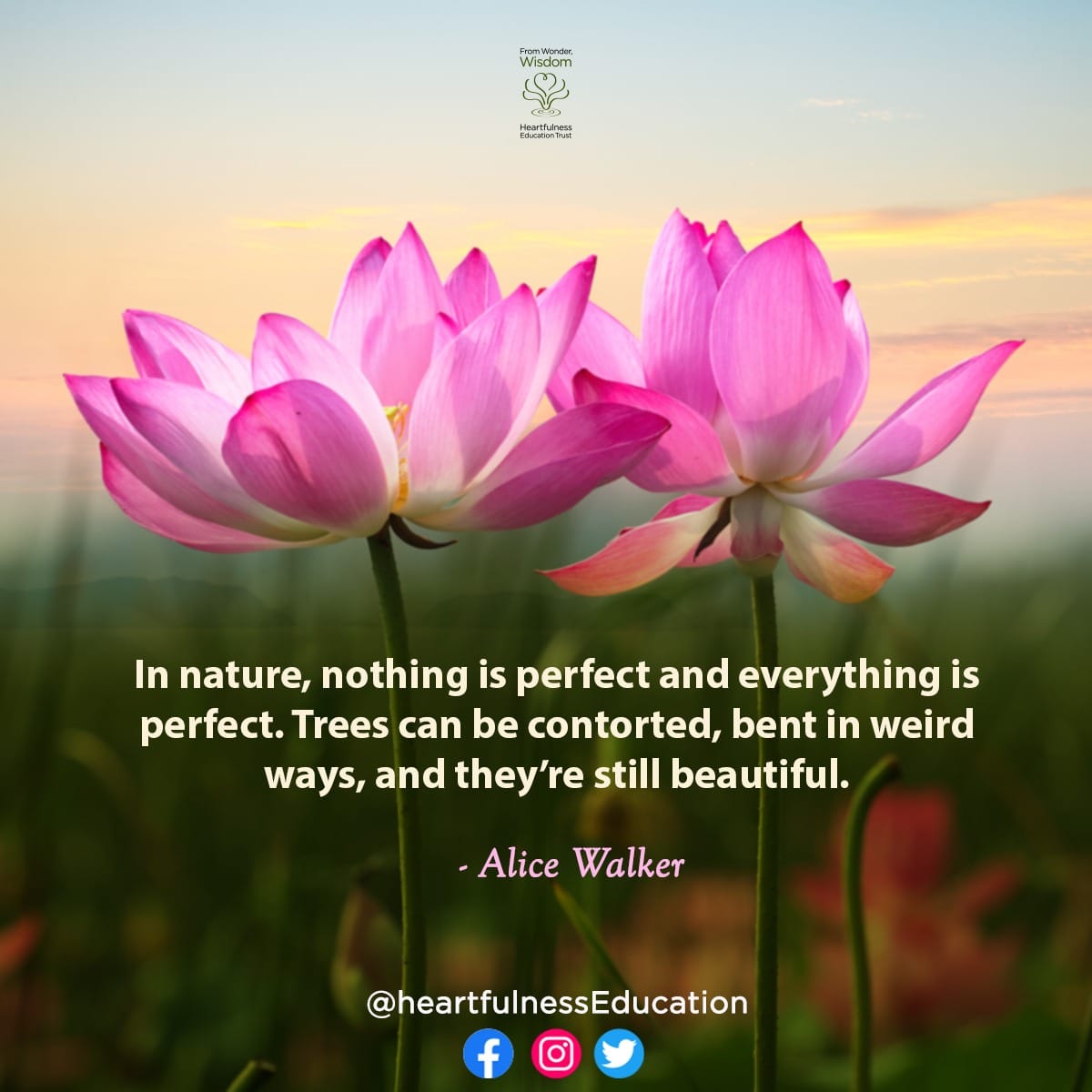 Beauty Of Flowers And Nature Quotes : 85 Quotes About Flowers ...