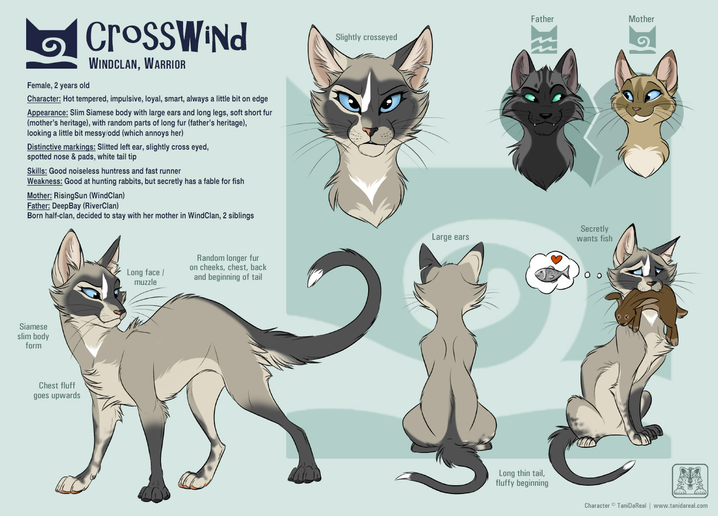 Warriors Cats Windclan