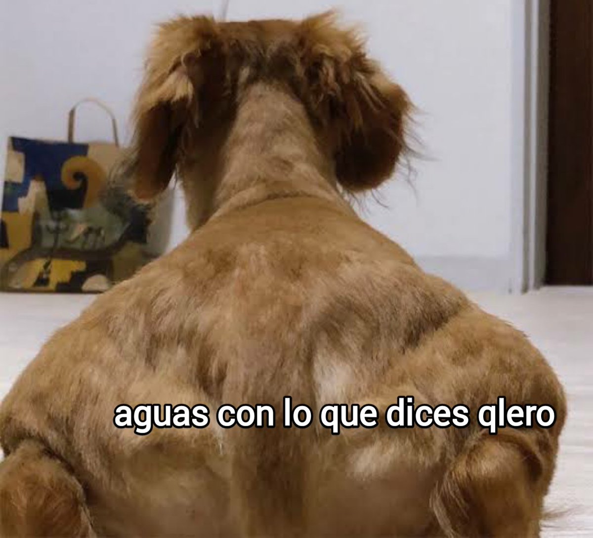 Yo: Guau, guauuu, guau. Mi perro: : r/mejico