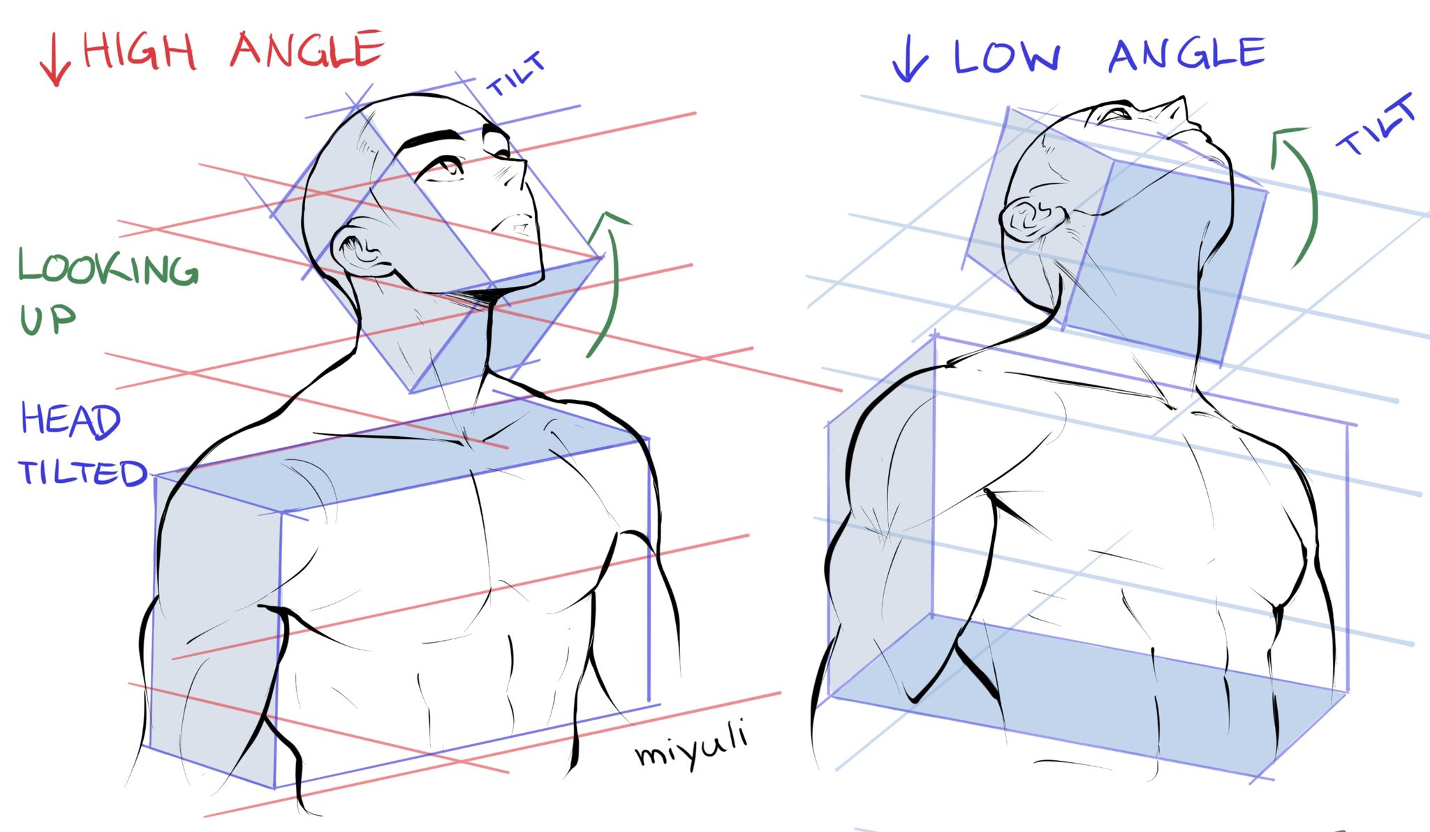 Head Looking Up Drawing