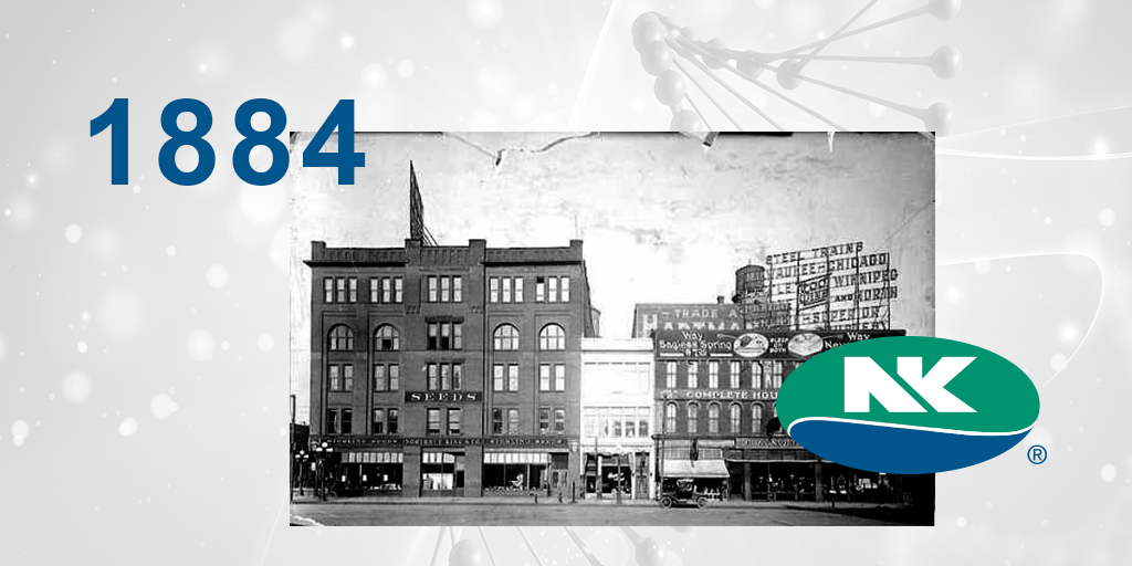 NK Seeds – East | Syngenta CA