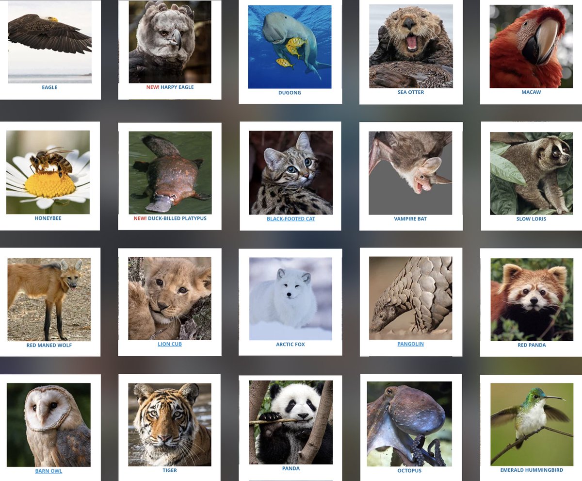 Extinct Animals Collage