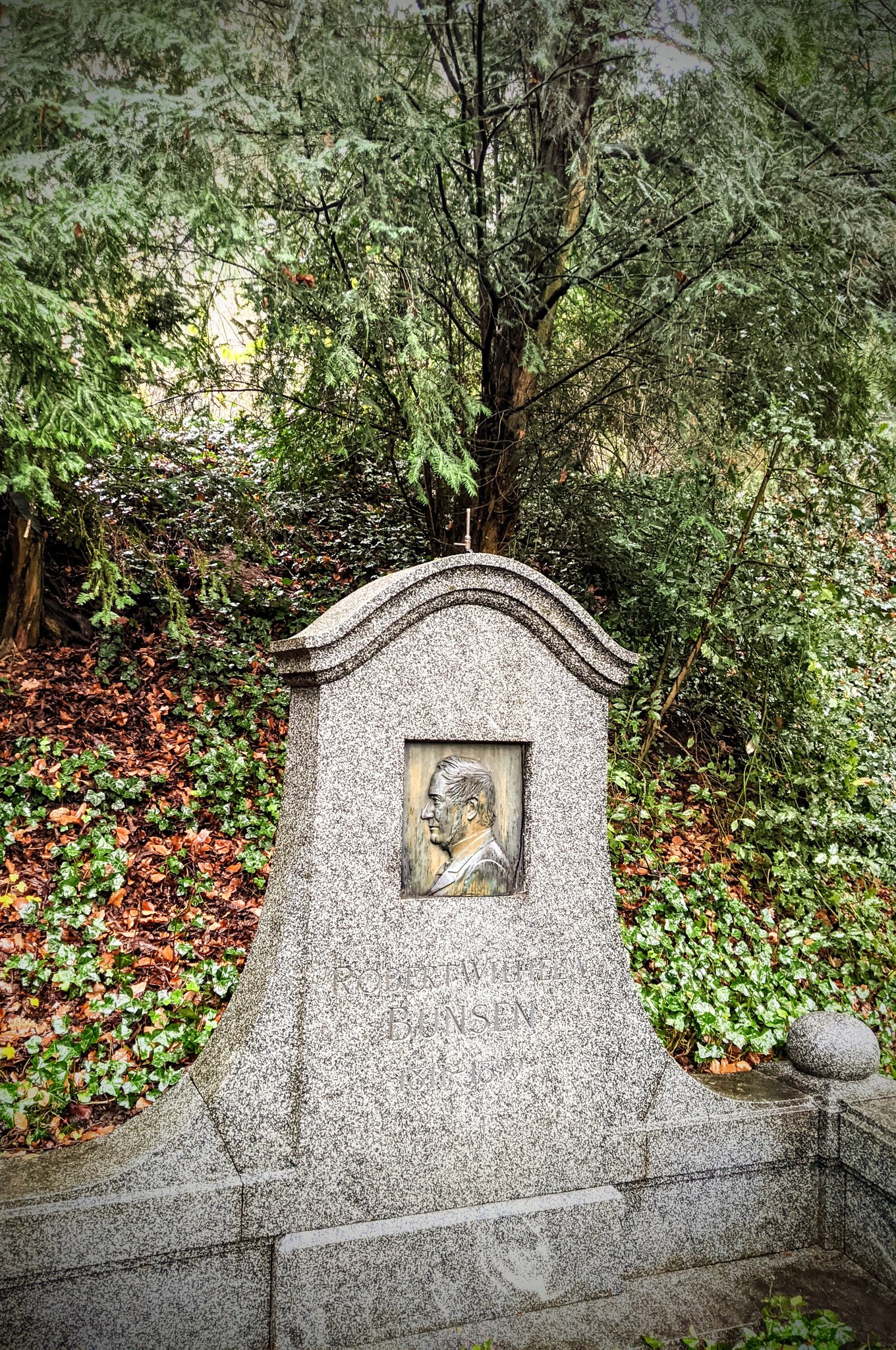 Robert Bunsen Burner