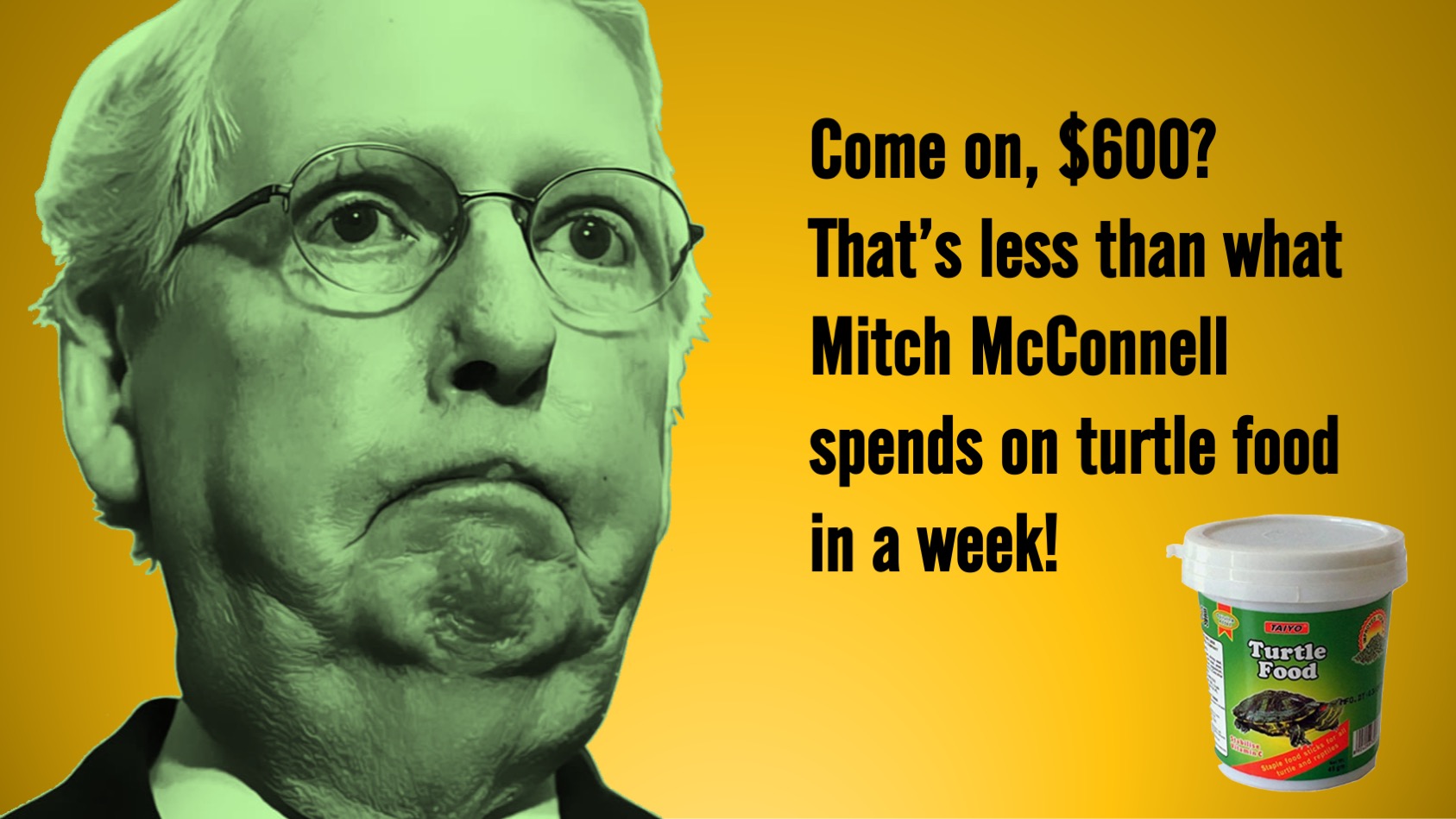 Mitch Mcconnell Turtle