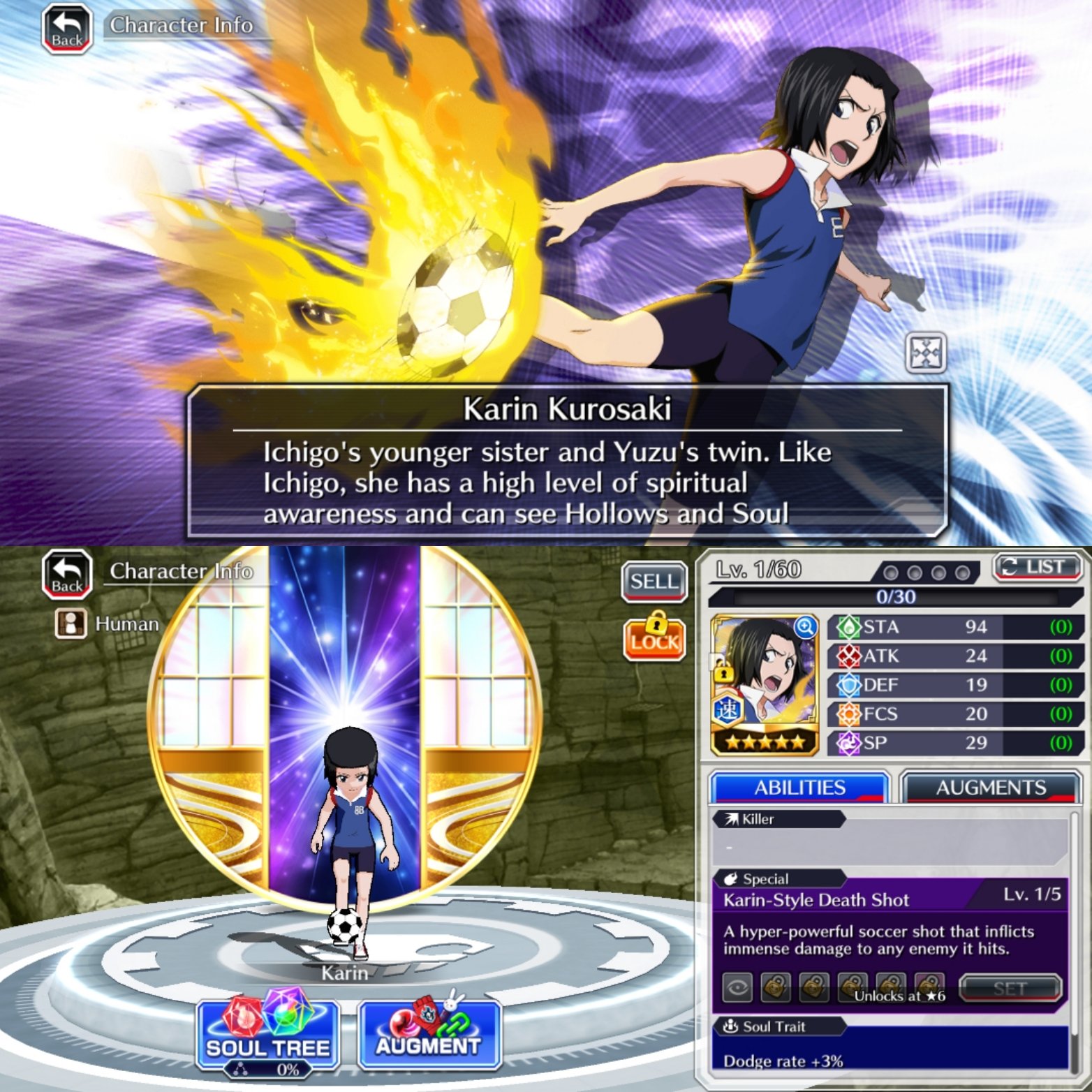 Karin Kurosaki Soul Reaper