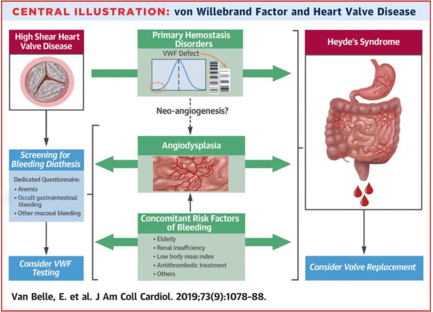 #MedTwitter - we're back with another tweetorial 🥳 Thanks @john ...