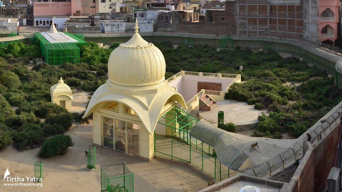 🕉 Know About Nidhivan in Vrindavan where even today Bhagwan Krishna ...