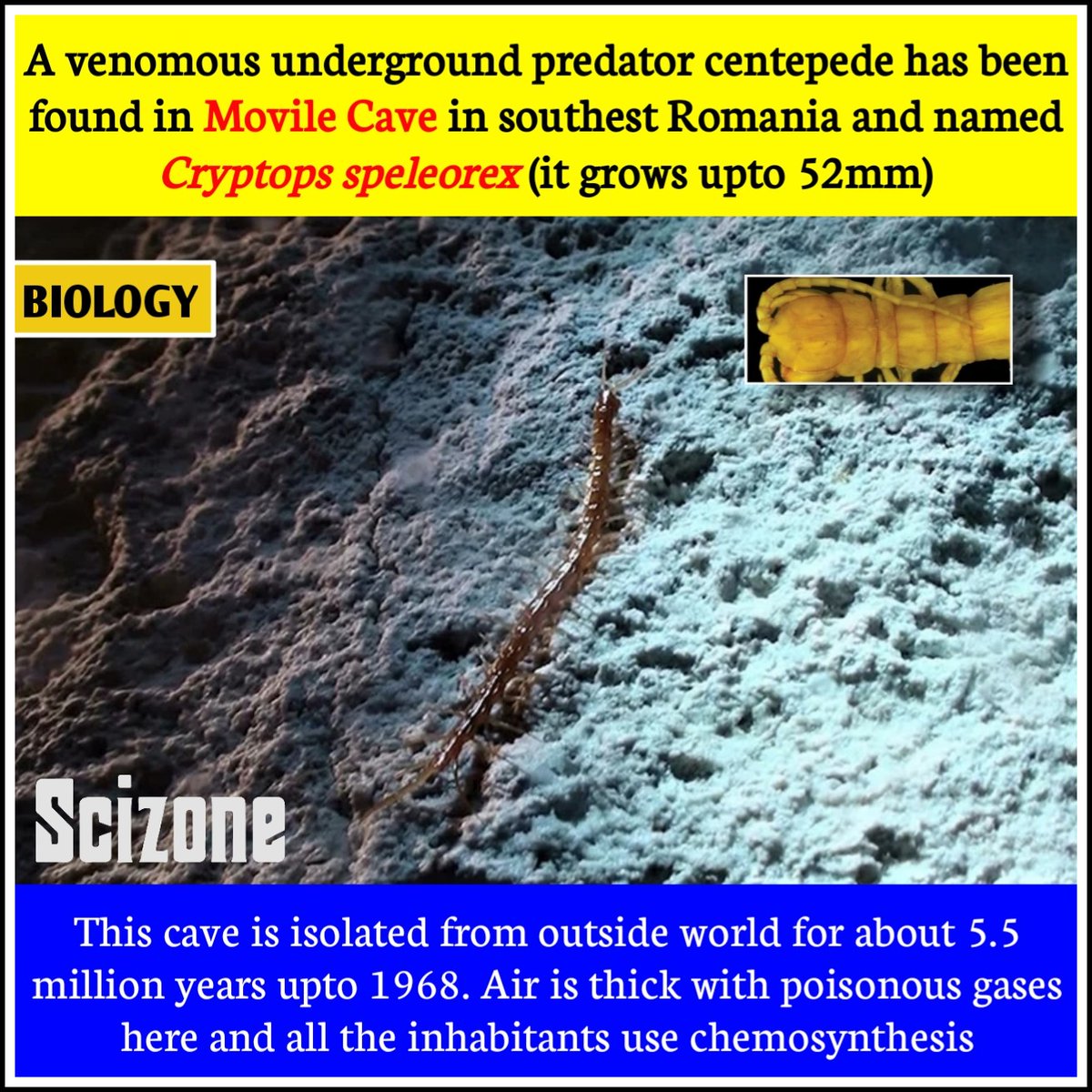 Chemosynthesis Biology