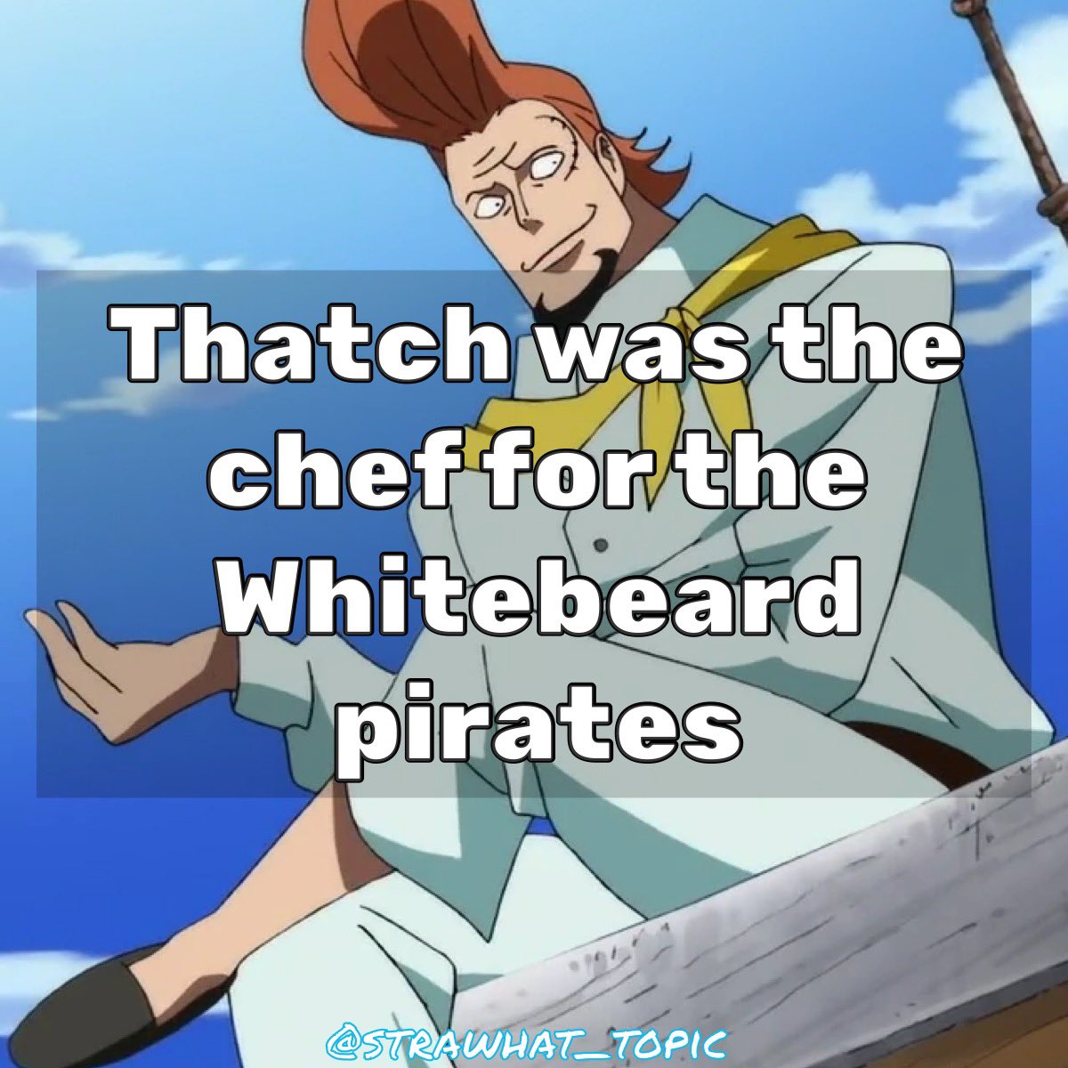 Straw Hat Topic (@StrawHat_Topic) | Twitter