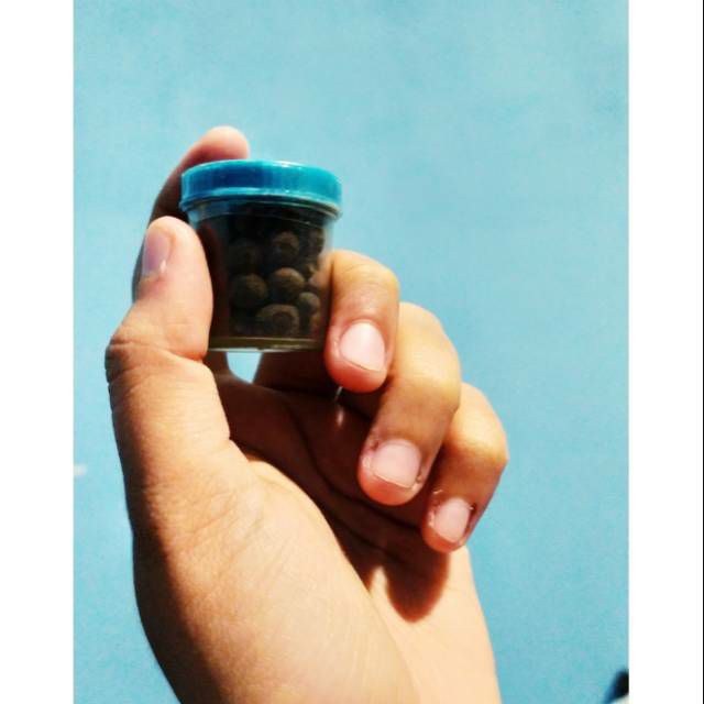 Riskayani (@Riskayani_Codri) | Twitter