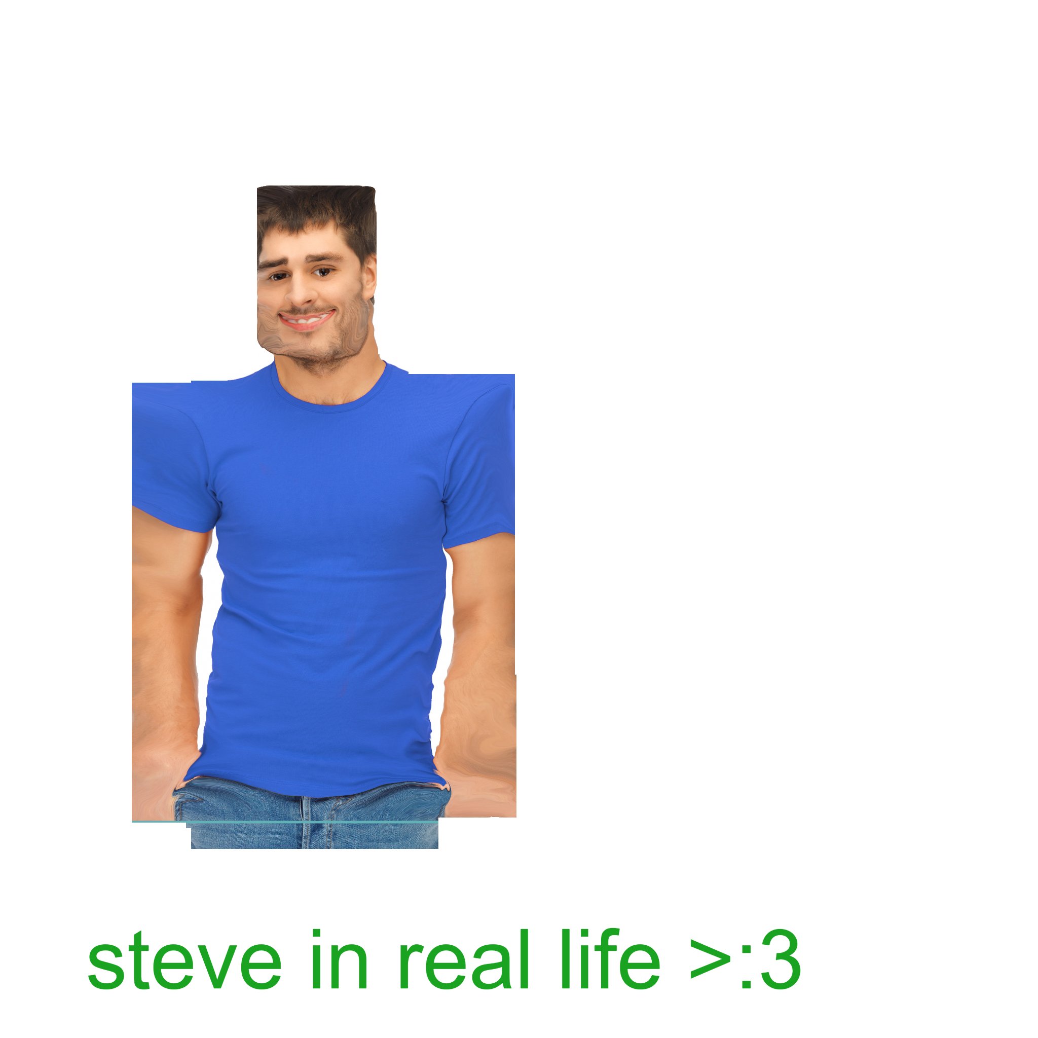 Steve Minecraft Real Life